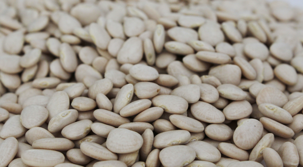 Pallar Bebe – Agrosur